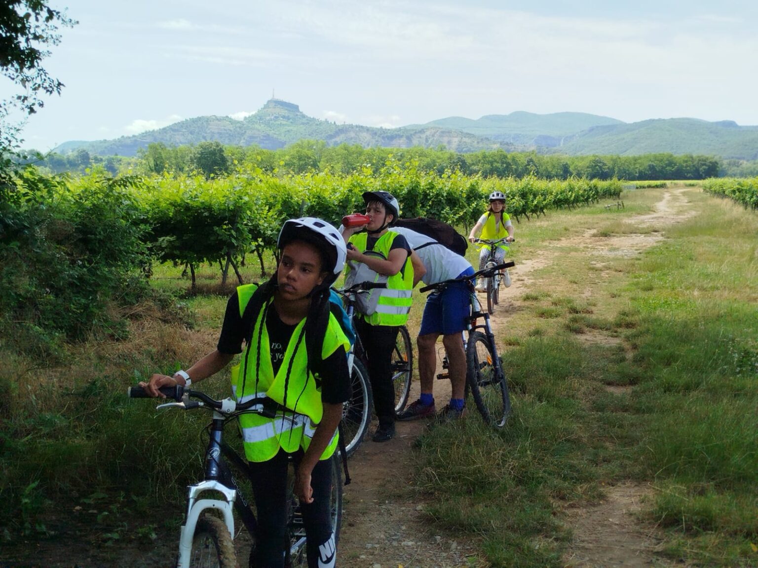 Accueil – Collège Jean Giono